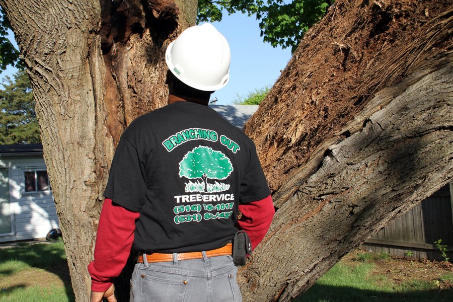 Gallery Photos Branching Out Tree Service | Before/After | Equipment