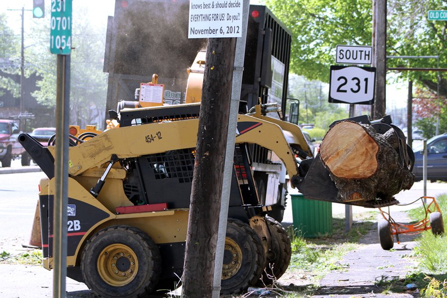 Gallery Photos Branching Out Tree Service | Before/After | Equipment