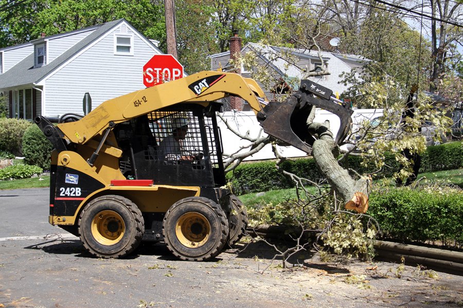 Gallery Photos Branching Out Tree Service | Before/After | Equipment