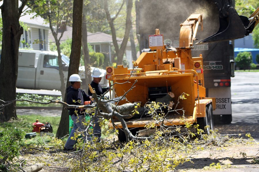 Gallery Photos Branching Out Tree Service | Before/After | Equipment