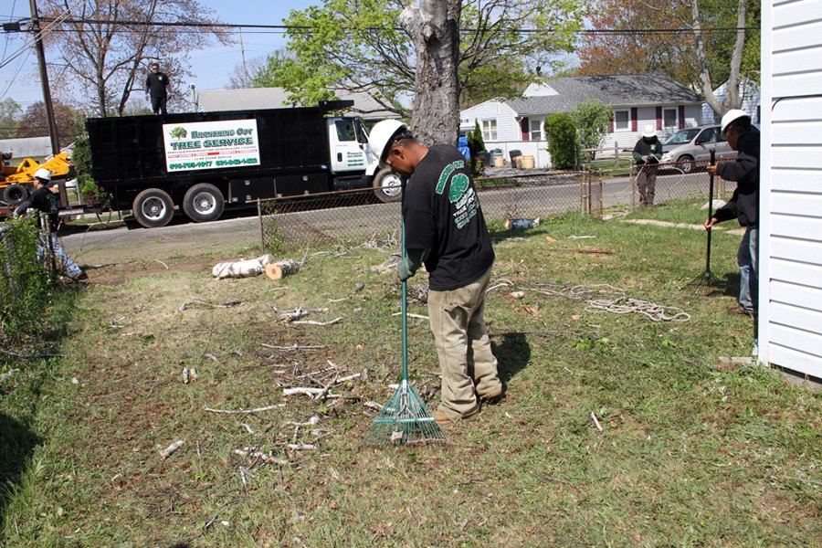 Gallery Photos Branching Out Tree Service | Before/After | Equipment