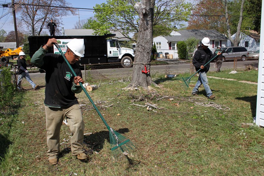 Gallery Photos Branching Out Tree Service | Before/After | Equipment