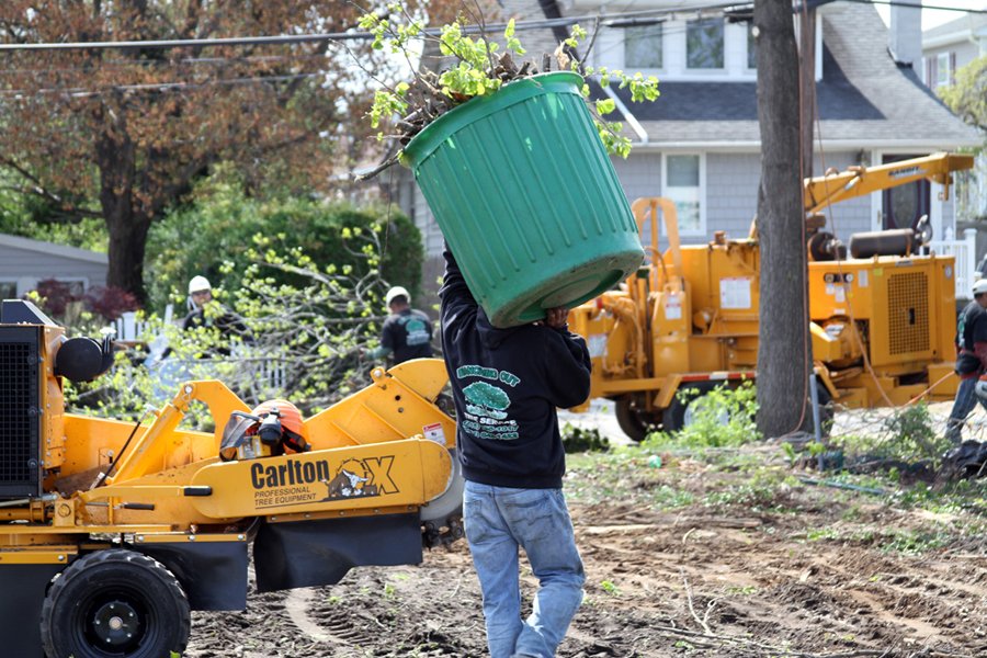 Gallery Photos Branching Out Tree Service | Before/After | Equipment