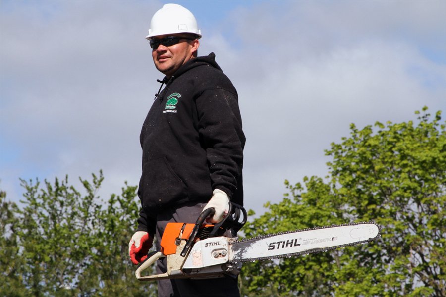 Gallery Photos Branching Out Tree Service | Before/After | Equipment