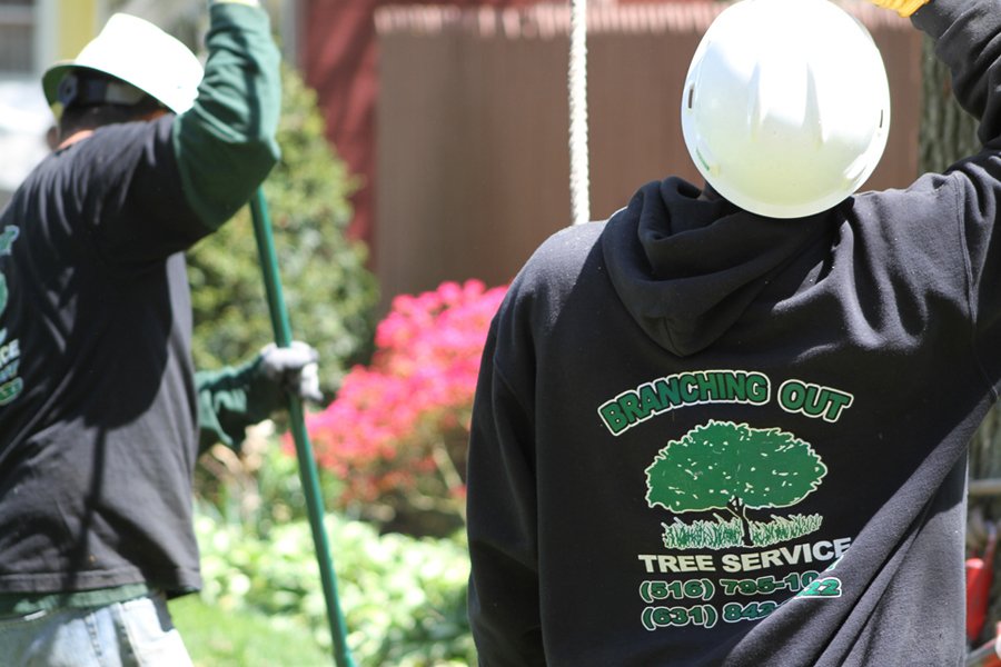 Gallery Photos Branching Out Tree Service | Before/After | Equipment