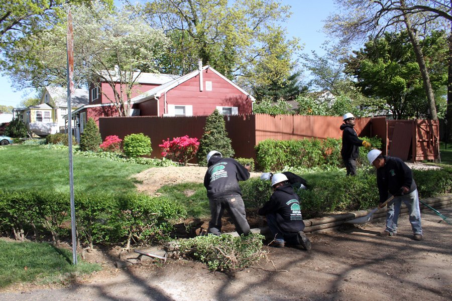 Gallery Photos Branching Out Tree Service | Before/After | Equipment