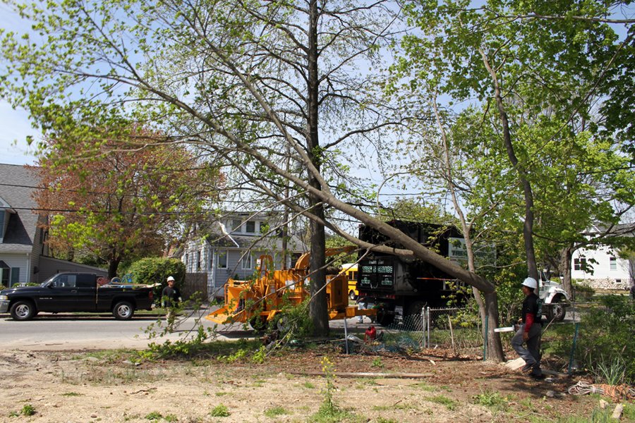 Gallery Photos Branching Out Tree Service | Before/After | Equipment
