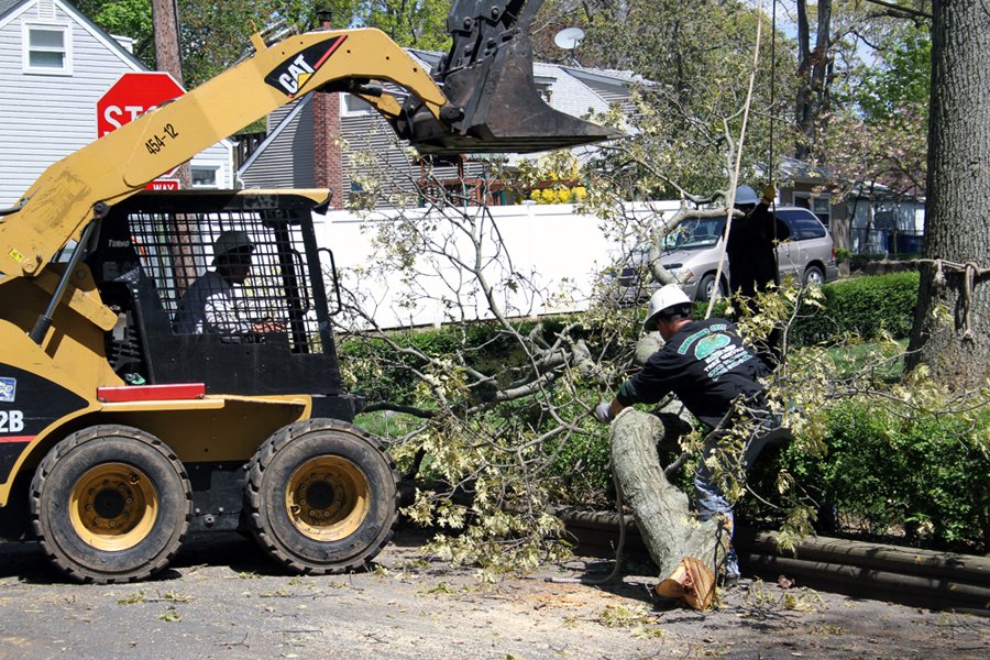 Gallery Photos Branching Out Tree Service | Before/After | Equipment