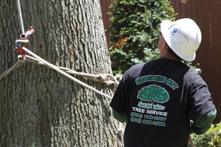 Gallery Photos Branching Out Tree Service | Before/After | Equipment