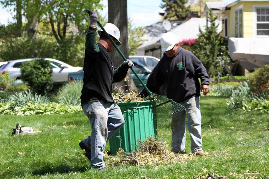 Gallery Photos Branching Out Tree Service | Before/After | Equipment