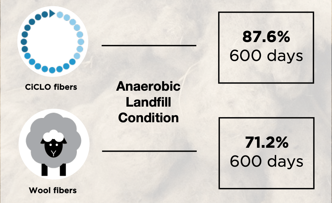 Biodegradable Synthetic Yarn | Beekaylon Synthetics