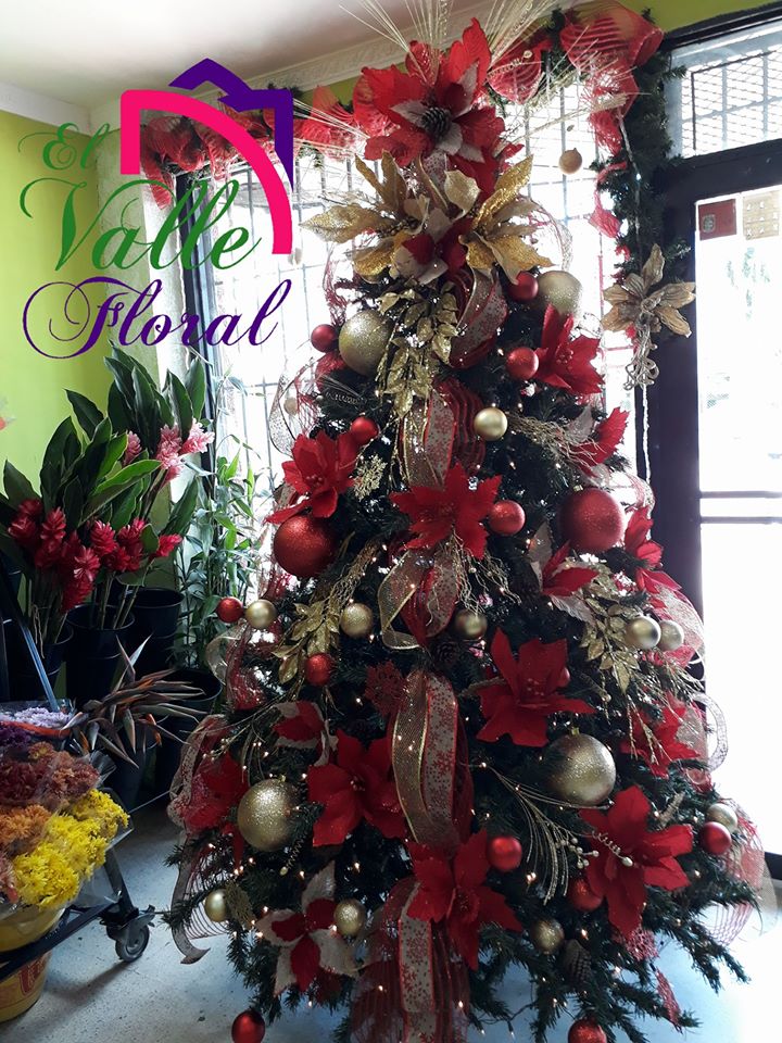 DISTRIBUIDORA EL VALLE FLORAL S A