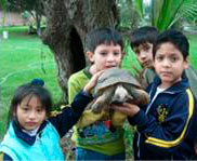 Inicio - Colegio Neil Summerhill