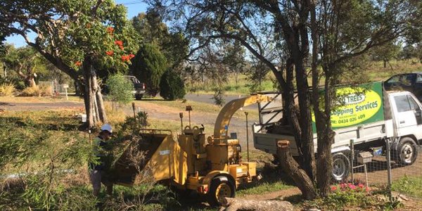 Contact Us | CQ Trees Rockhampton