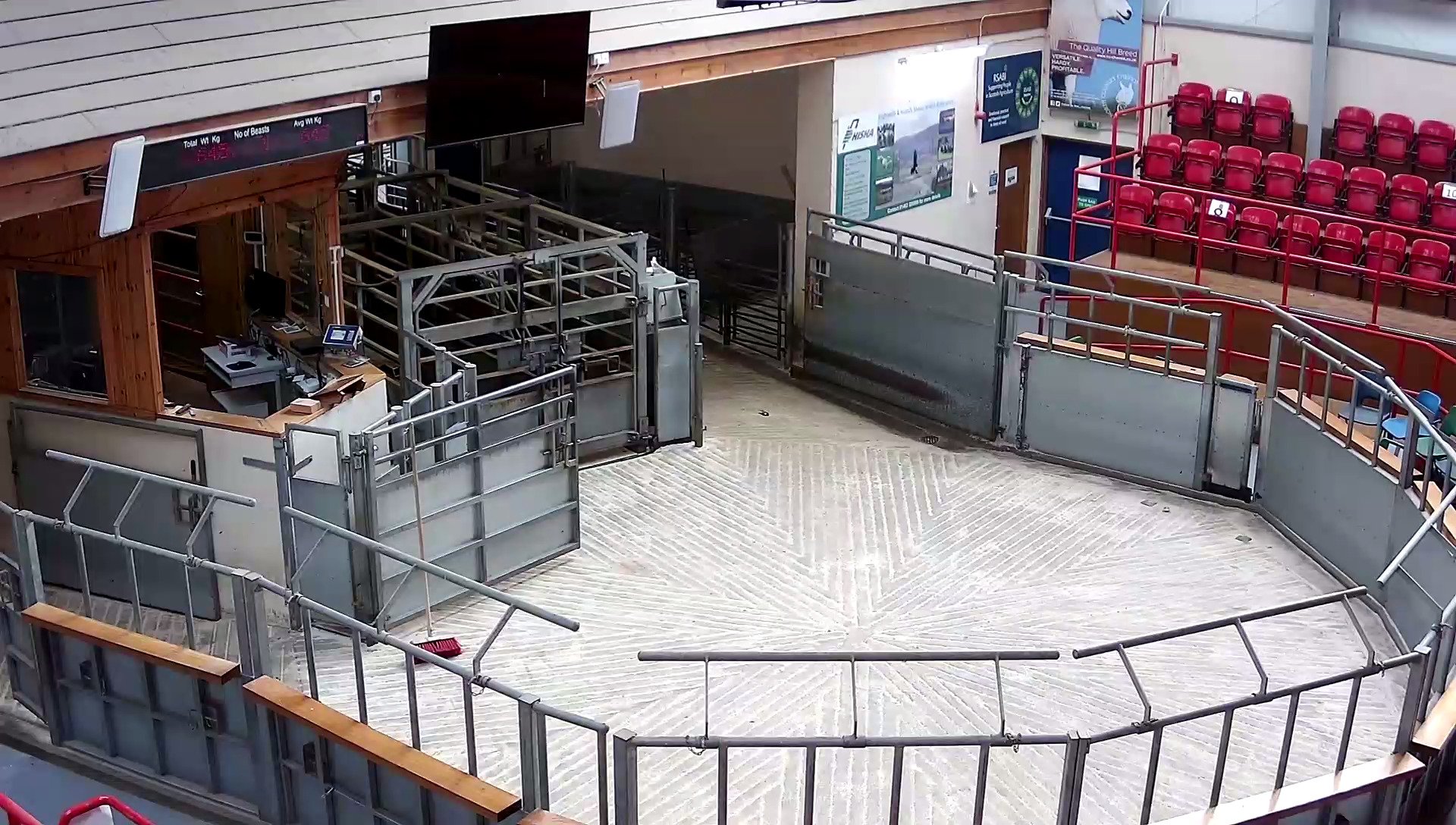 Dingwall HIghland Marts - Your Local Livestock Sales