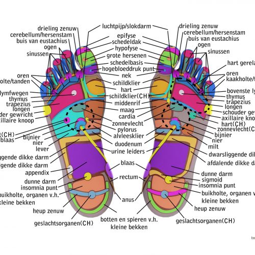 Vervolgbehandeling Voetreflex Plus