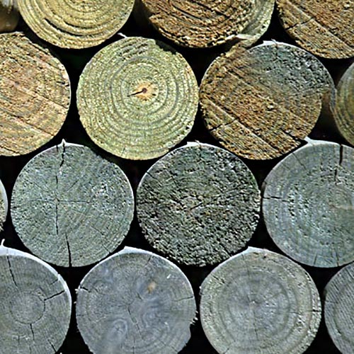 Logs & Timber North QLD | Cairns Raw Materials