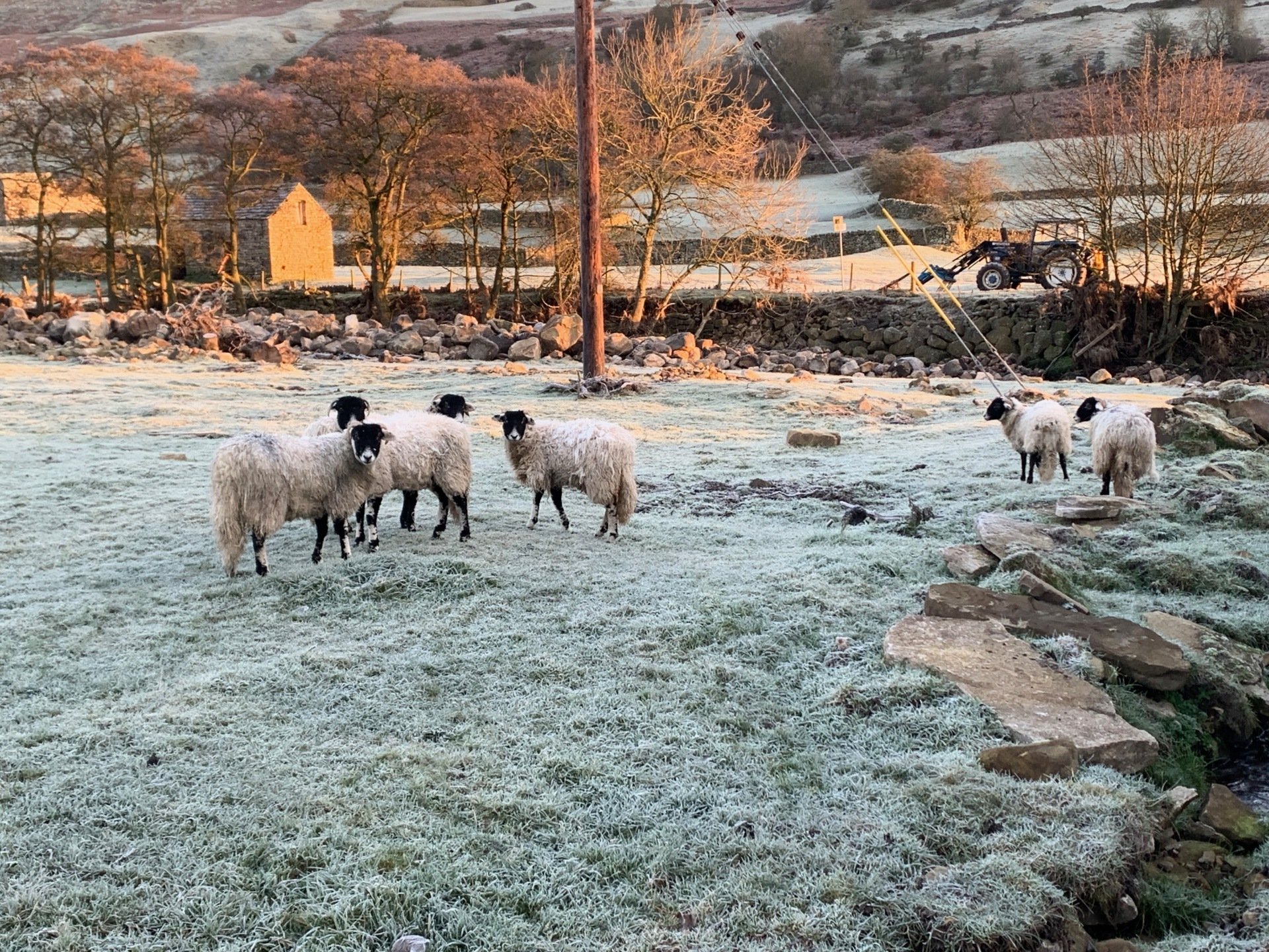 Greystones | 3 bedroom cottage in Reeth Yorkshire Dales