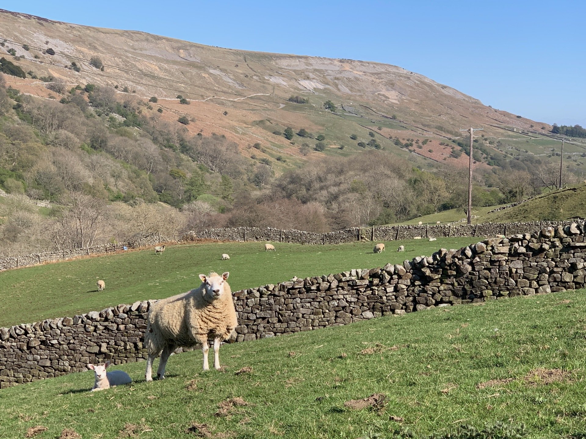 Burton House | Holiday Cottage in Reeth