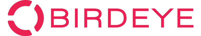 Birdeye | Custom Website Design & Search Engine Optimization