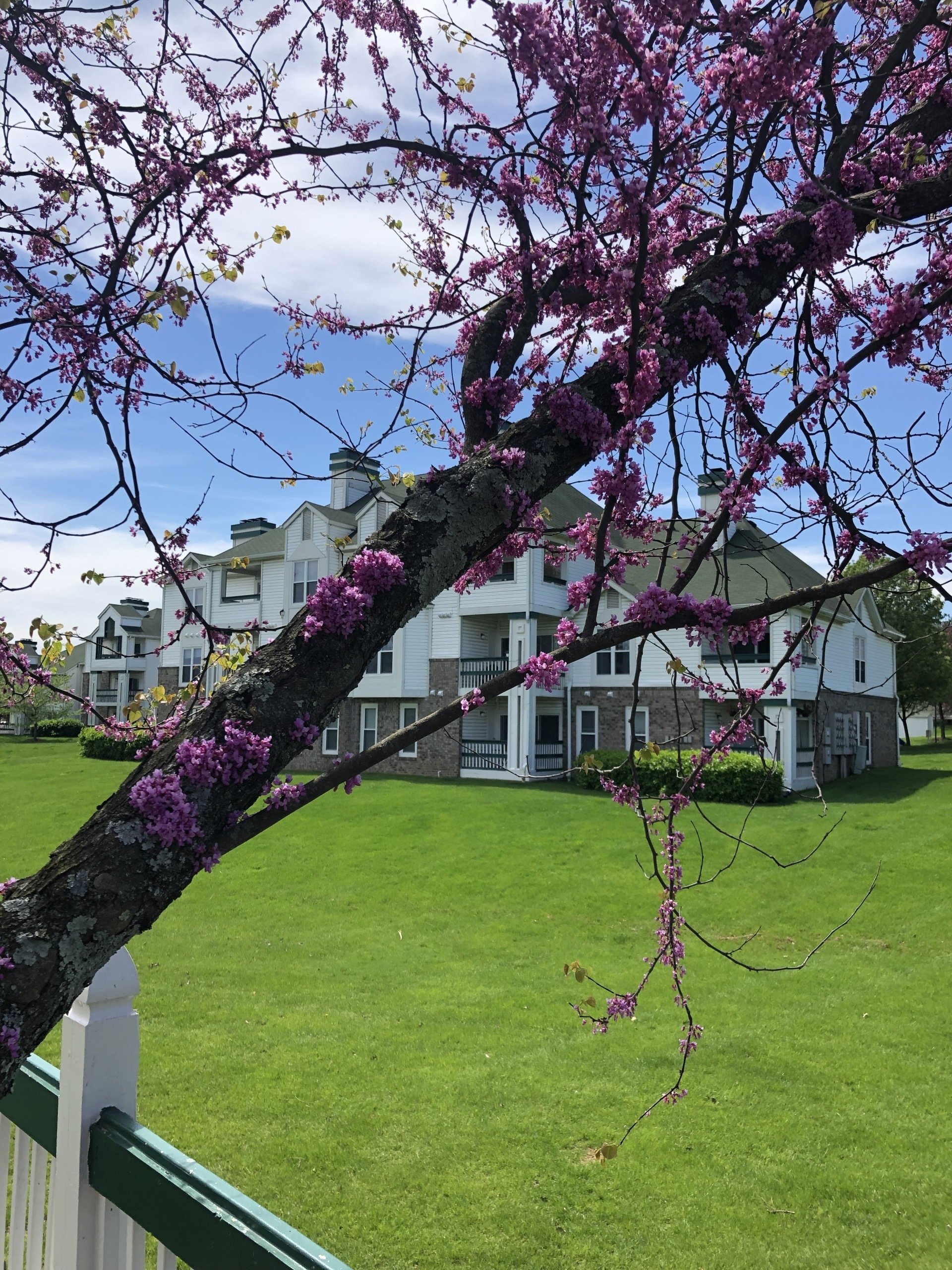 The Apartments At Sunset - One, Two, Three Bed Floor Plans