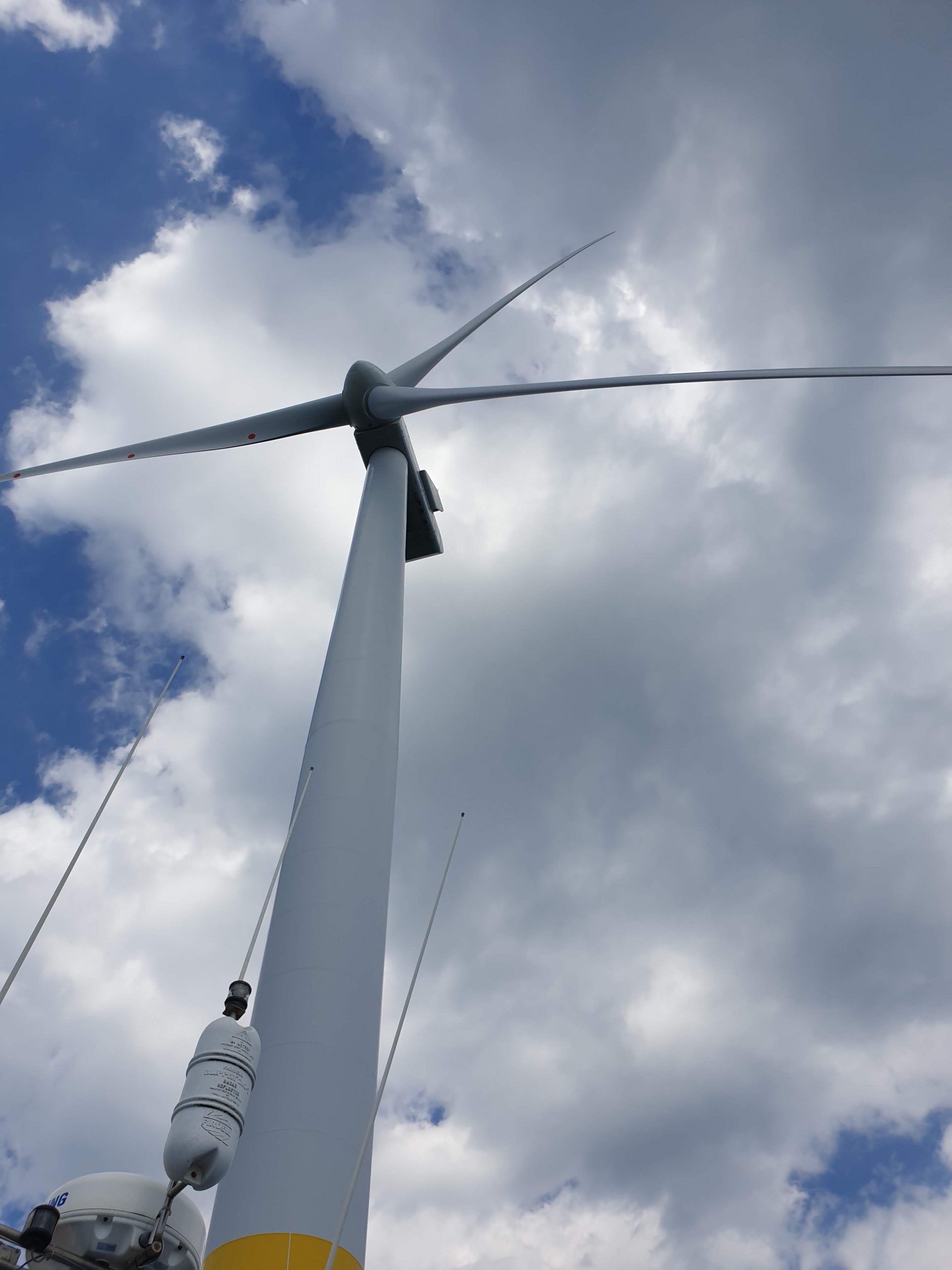 Whitstable Boat Trips | Gallery | Whitstable, Kent