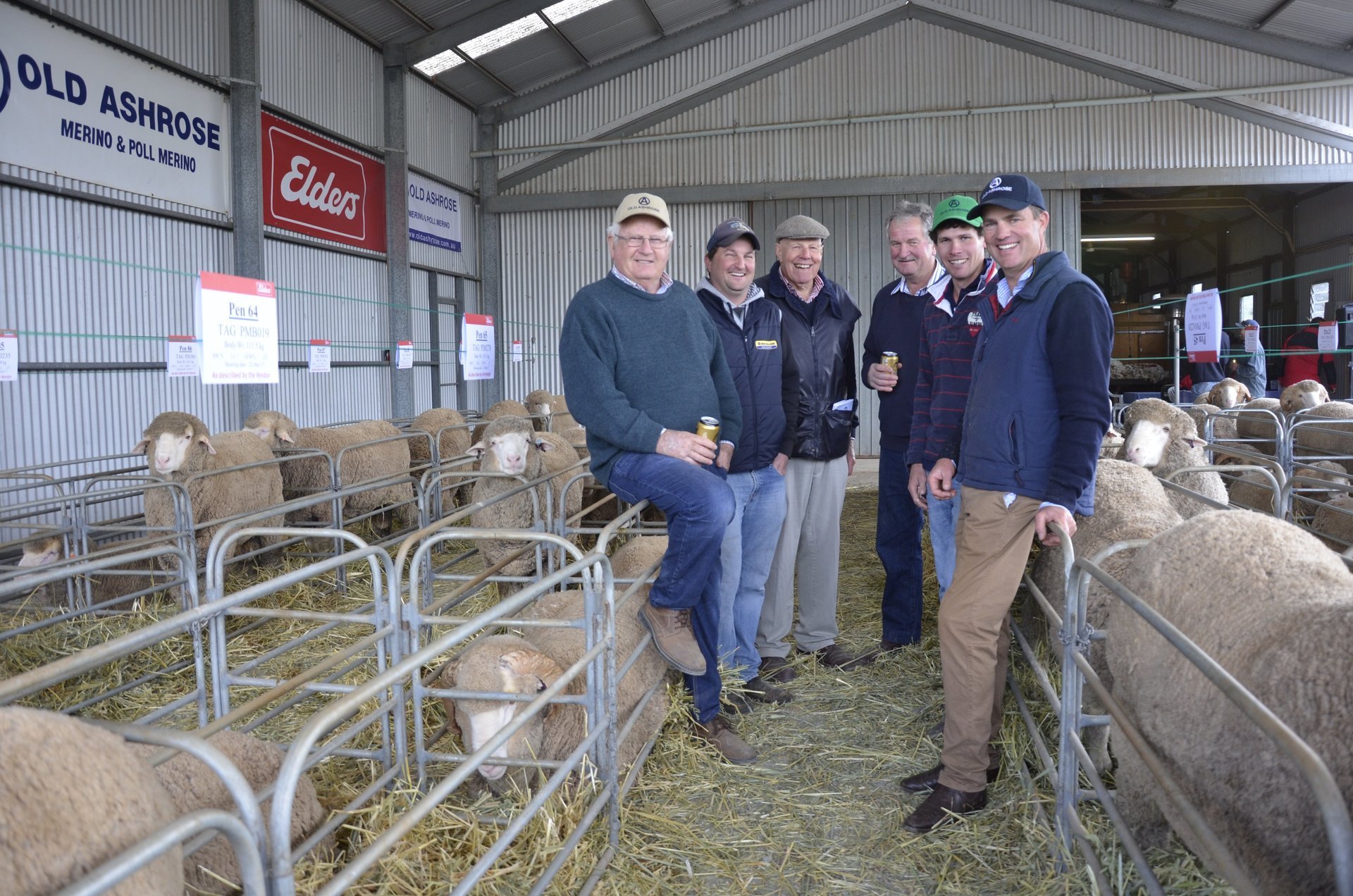 Old Ashrose Merinos - Hallett, SA - Gallery