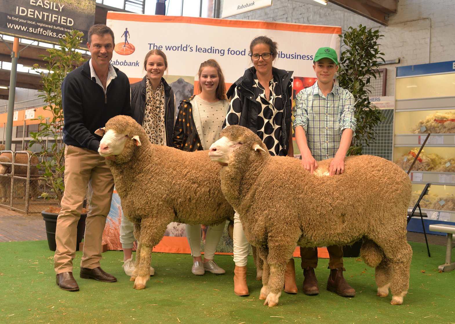 Old Ashrose Merinos - Hallett, SA - Gallery