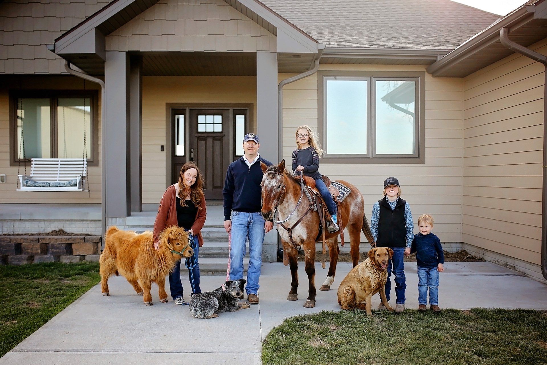 Rolling 7 Mini Highlands | Mini Scottish Highlands for Sale