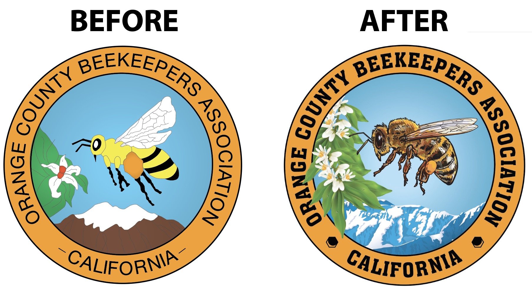 It ALL starts with Design | Livingstone Graphics