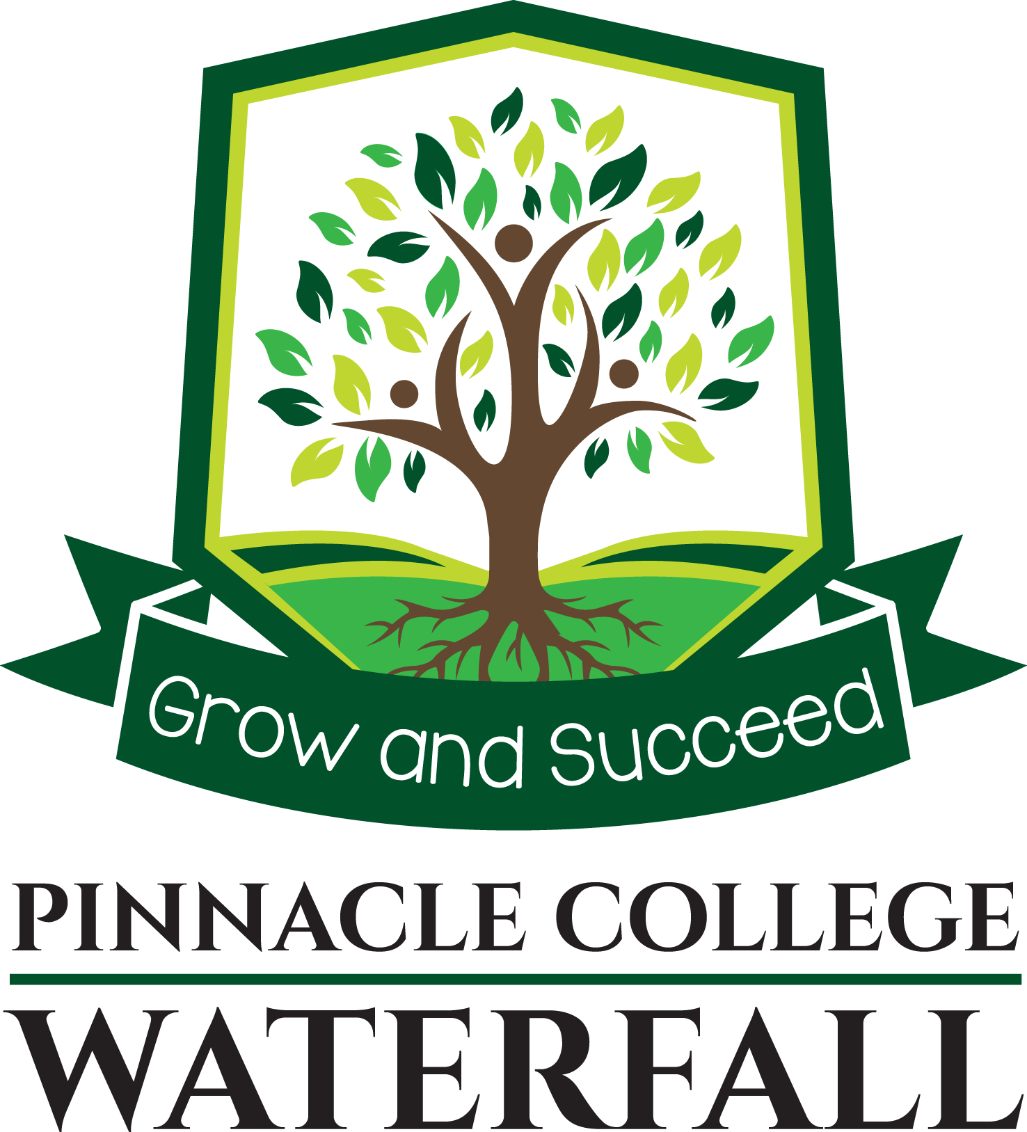 Pinnacle College Waterfall | About Us