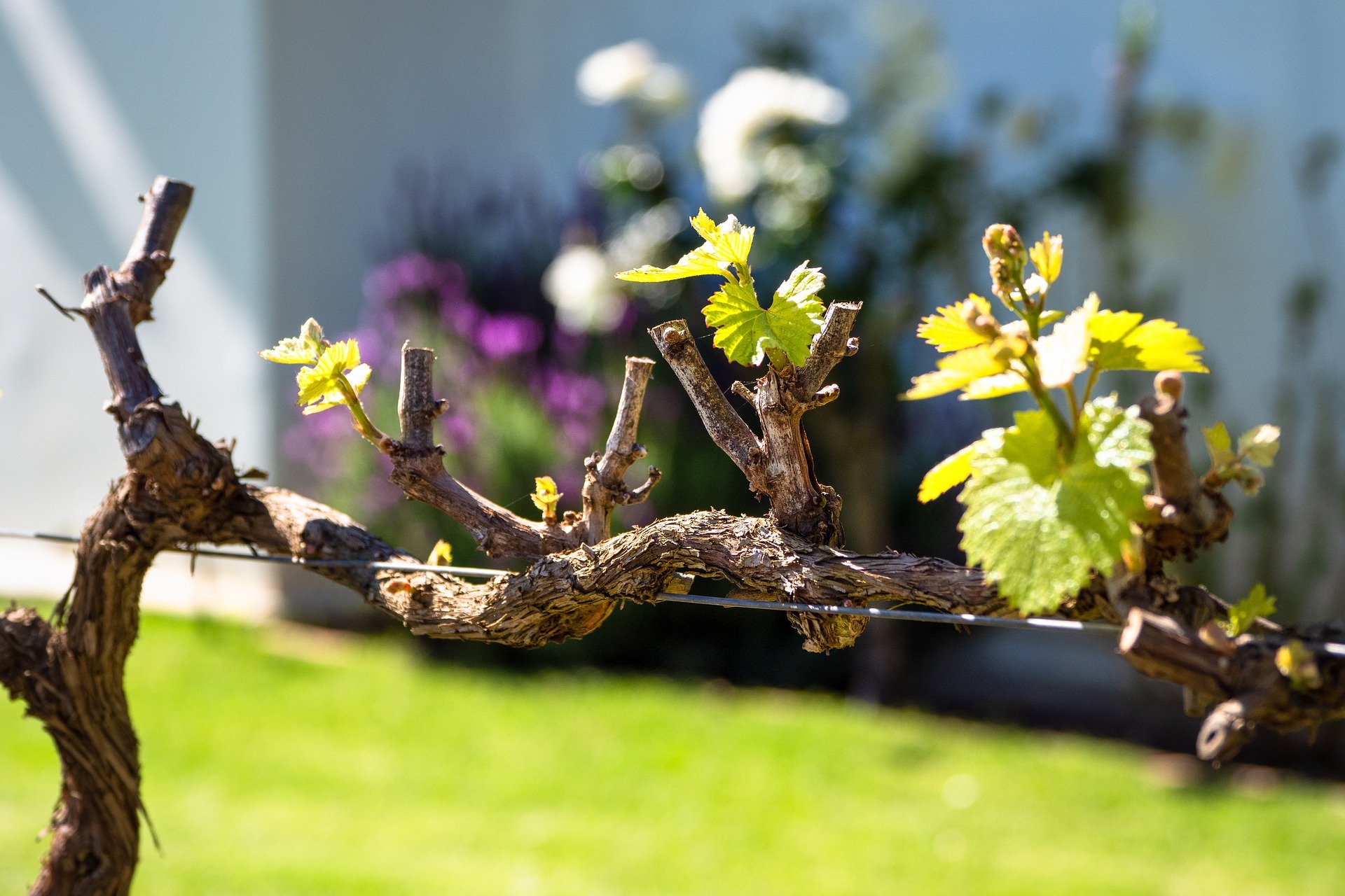 The importance of imagination