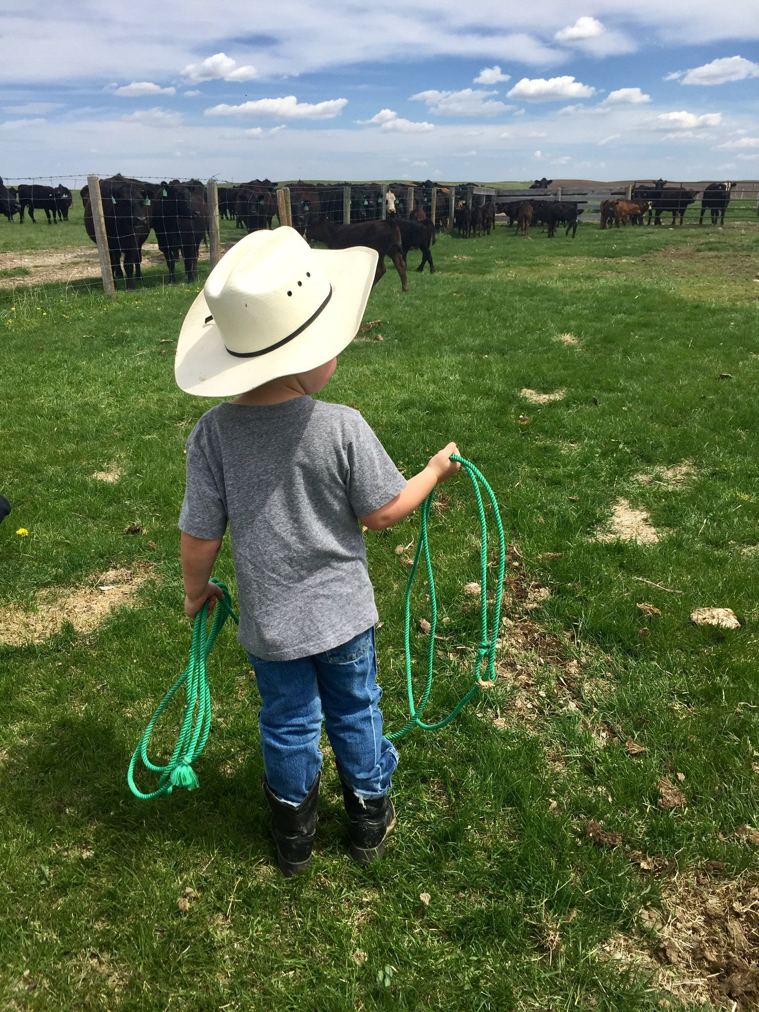 Nelson Family Ranches