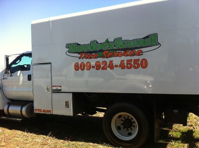 Tree Service | Princeton, NJ | Timberland Tree Service