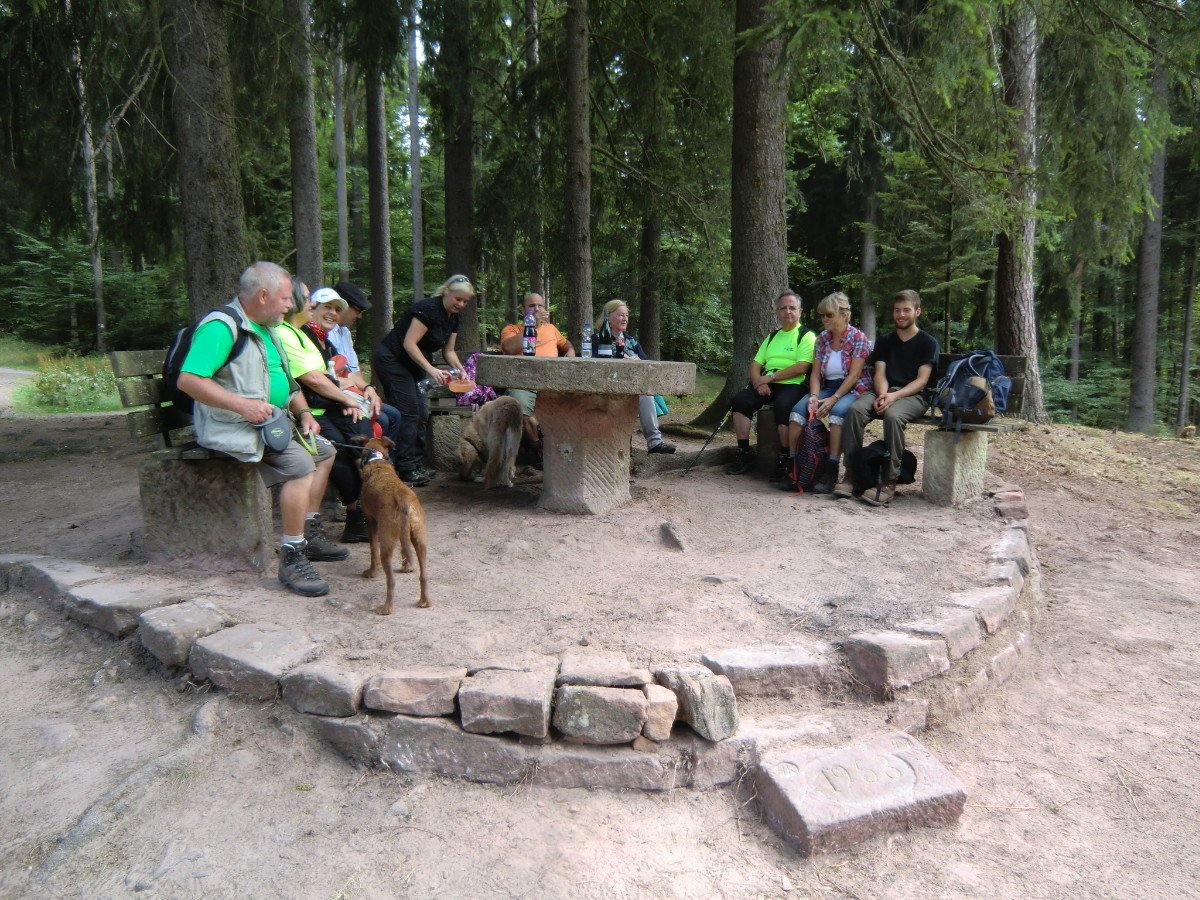 Offizielle Website von Elmstein in der Pfalz Wandern, Nordic Walking ...