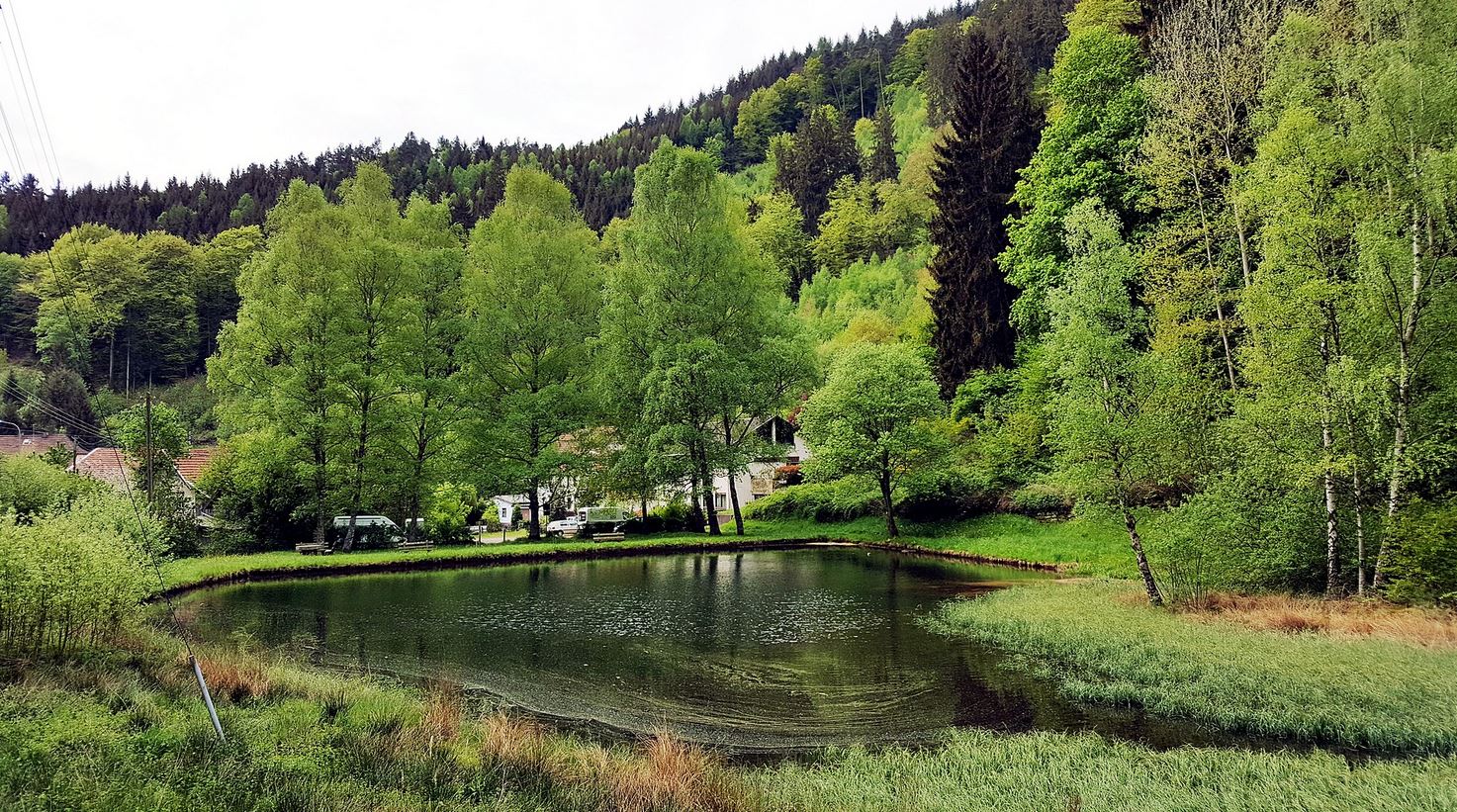 Offizielle Website von Elmstein in der Pfalz Wandern, Nordic Walking ...