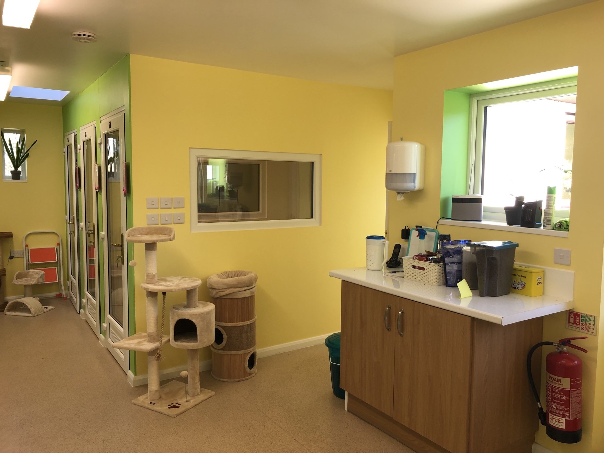 Cattery services by Blakeston Lodge