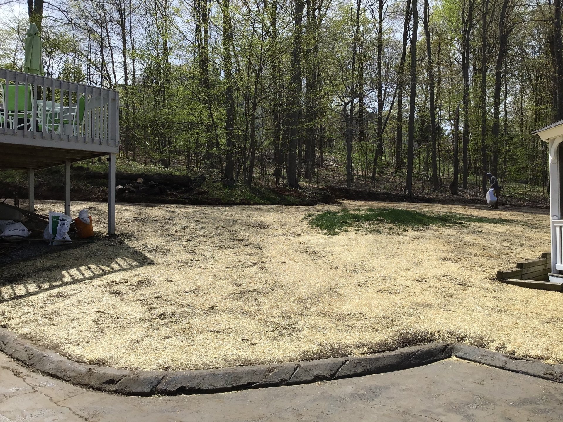 Lawn Installation Connecticut | Clean Cut Landscaping