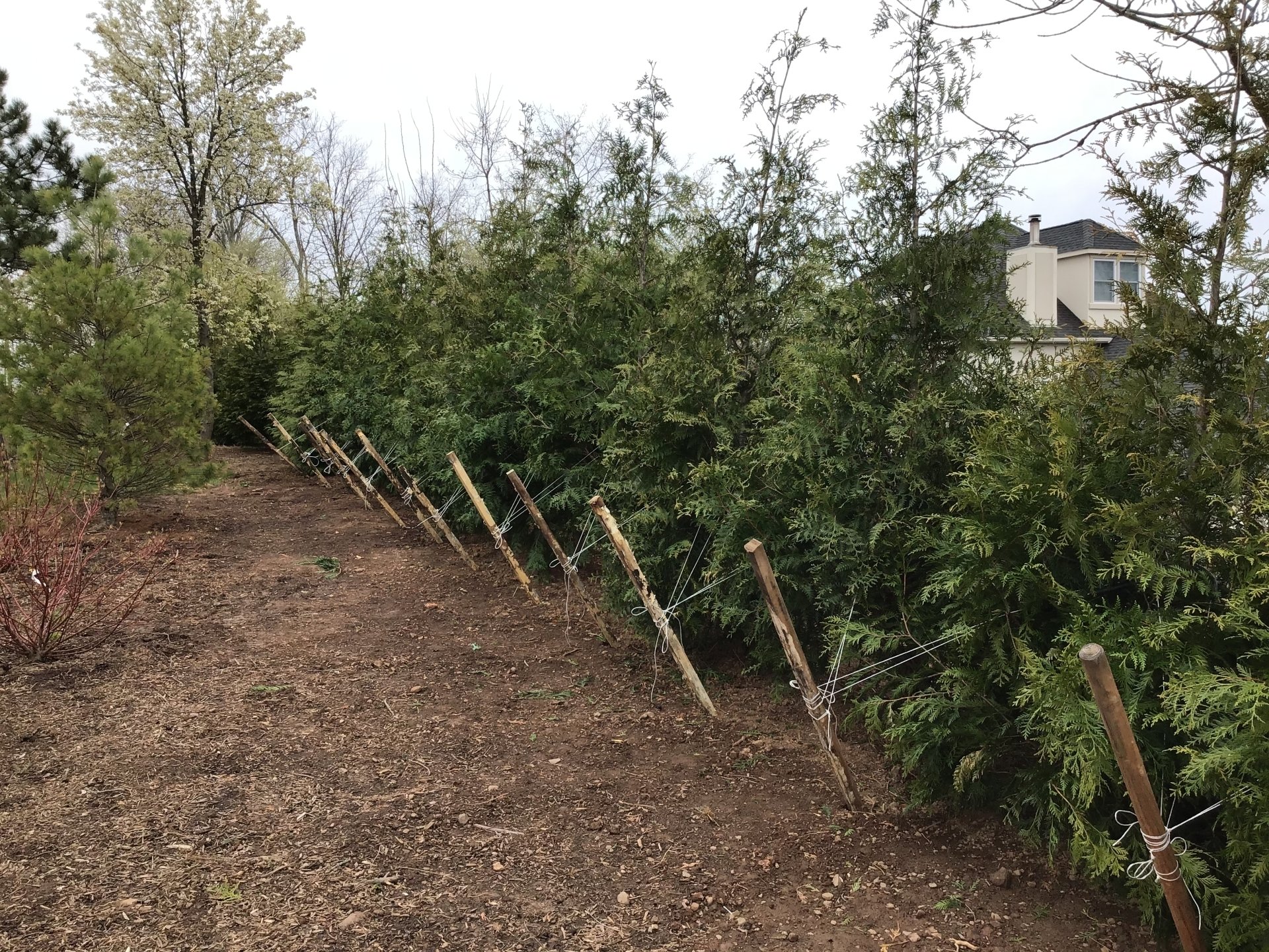 Landscape Design Connecticut | Clean Cut Landscaping