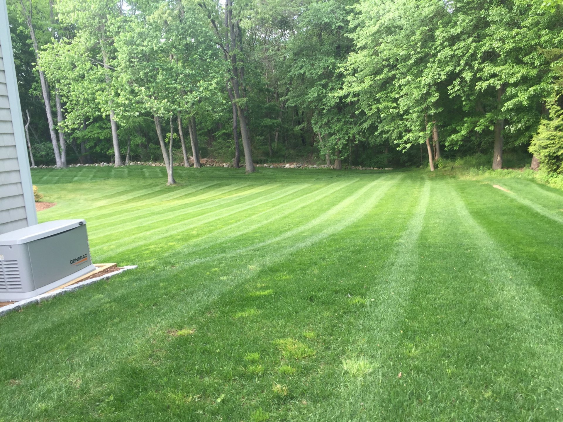 Lawn Care Connecticut | Clean Cut Landscaping