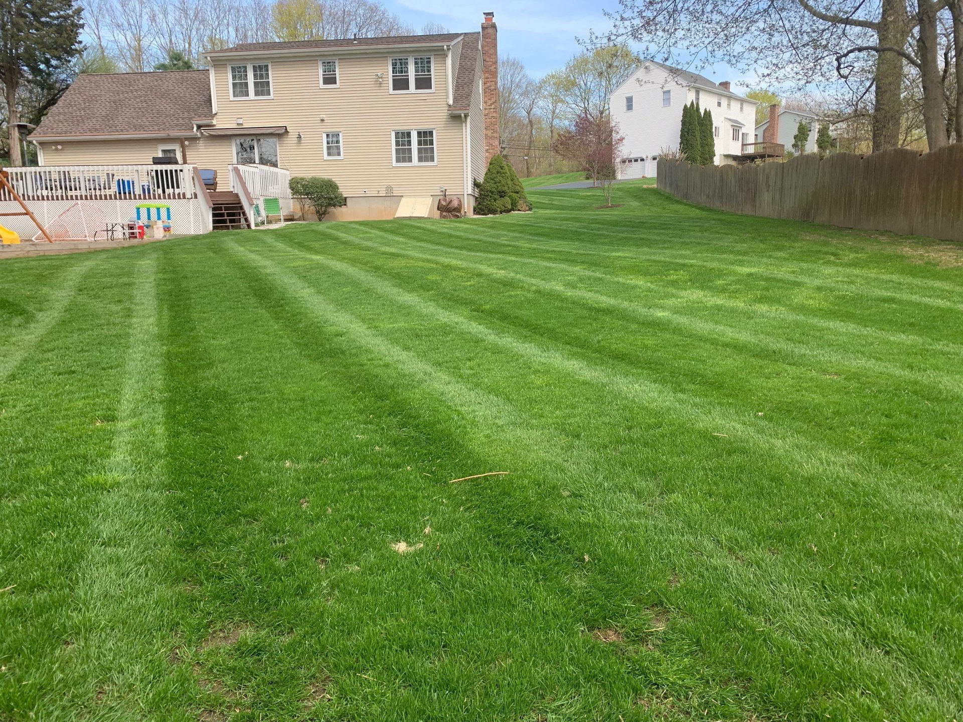 Lawn Care Connecticut | Clean Cut Landscaping