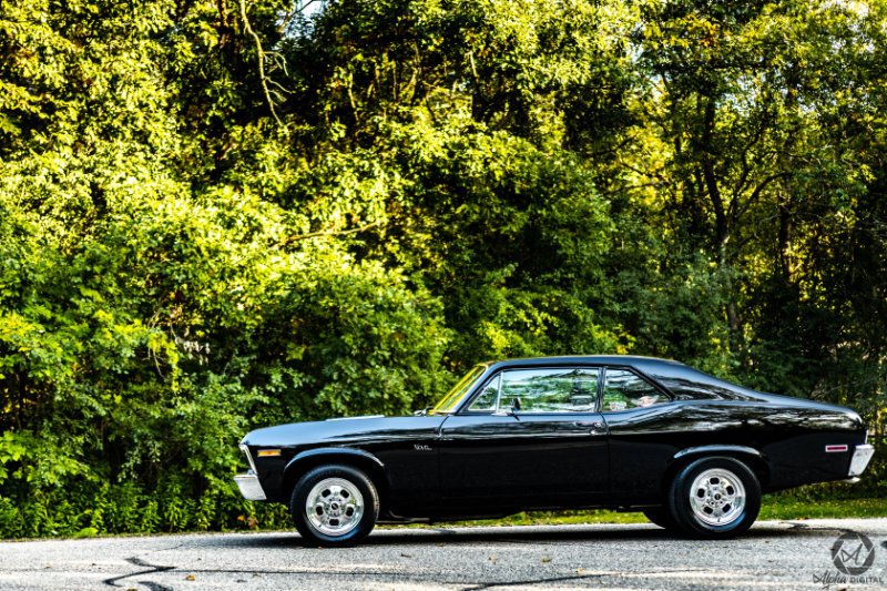 Detailing Projects Gallery | Five Star Automotive Detailing