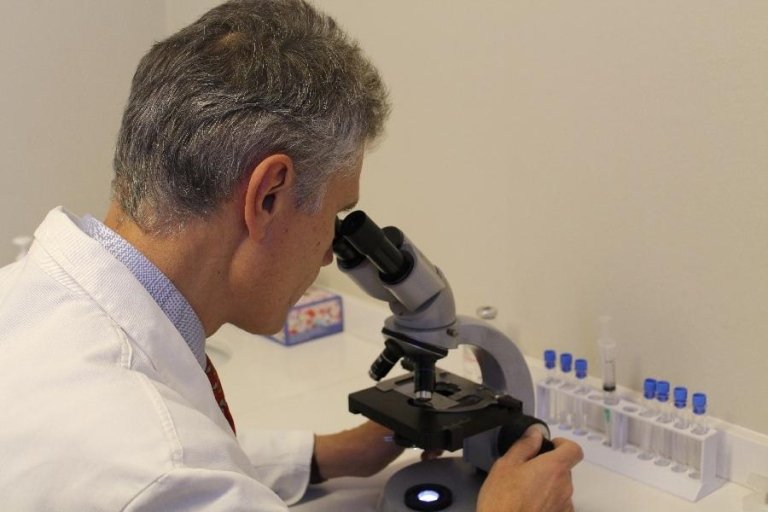 Ostetricia - Firenze - Prof. Susini - chi siamo