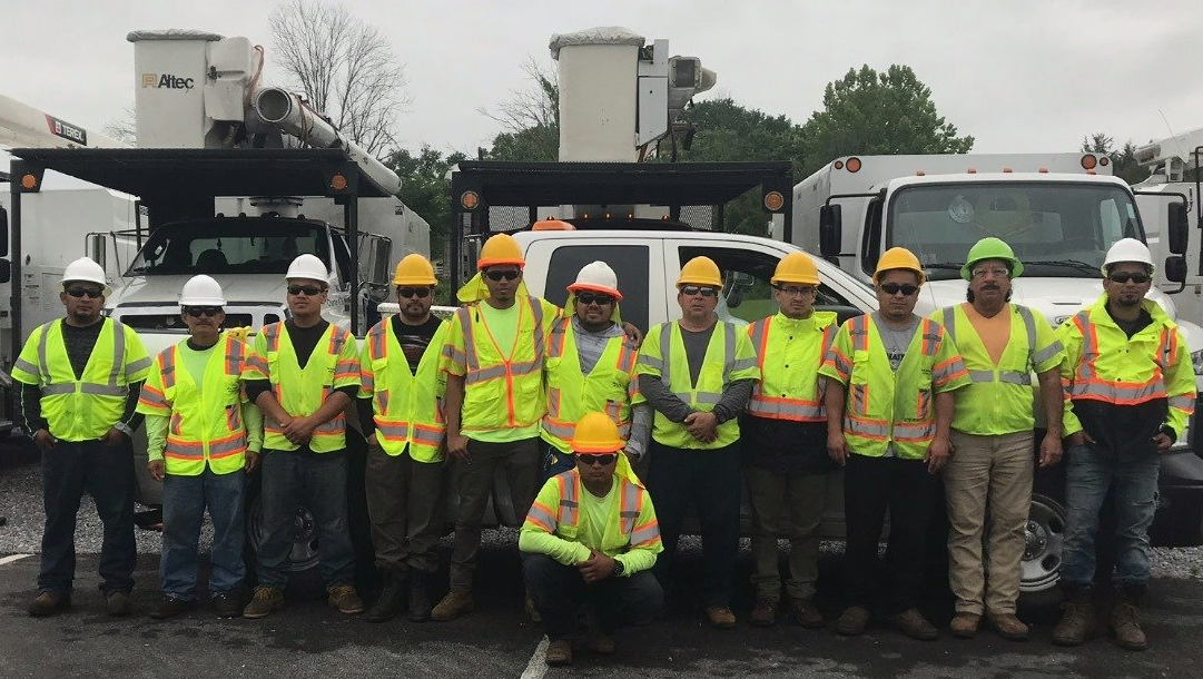 Kendall Professional Tree Service | Southeast & Central US
