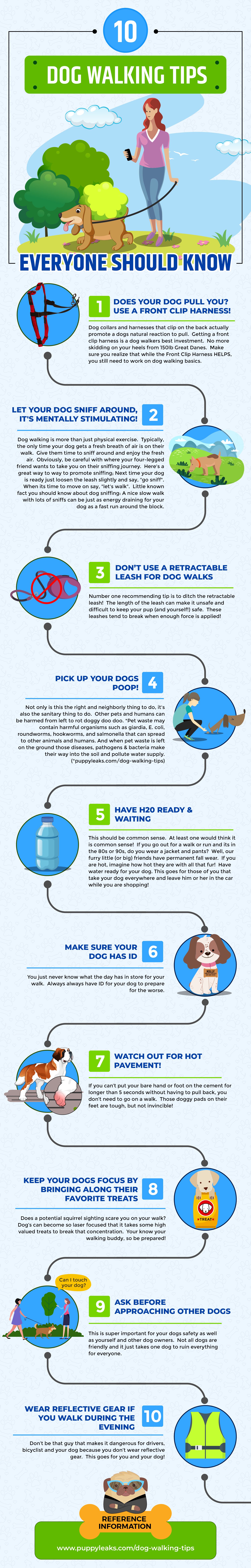 10 Tips from a Professional Dog Walker