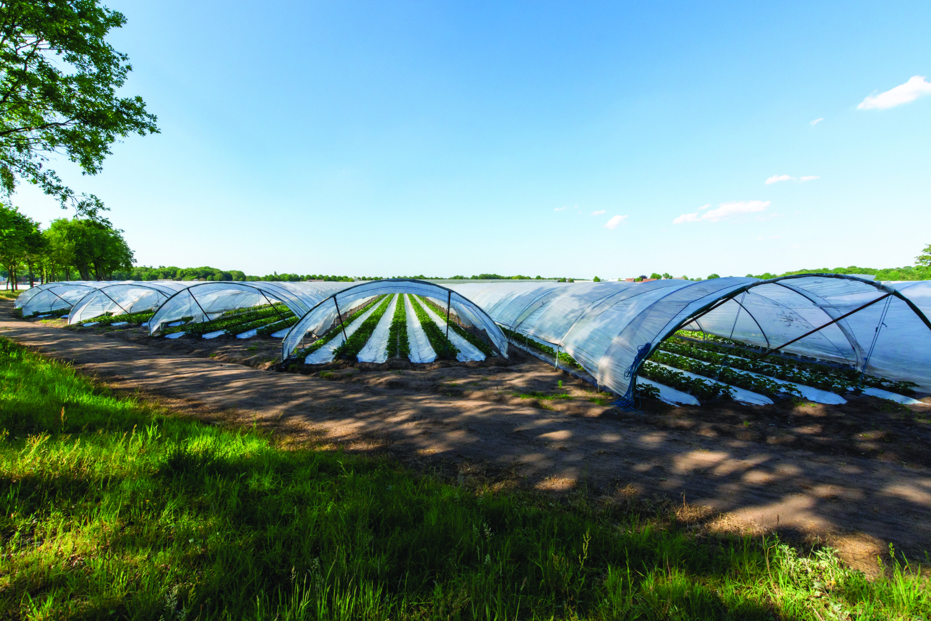 Home [www.kyriefarm.ie]