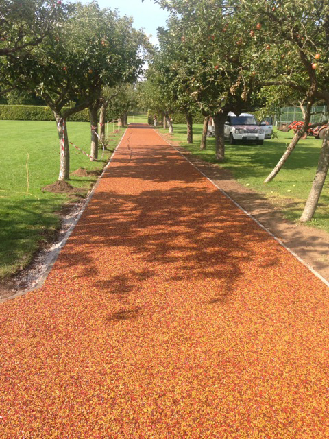 Ava Recreation | Playground equipment + surfacing experts