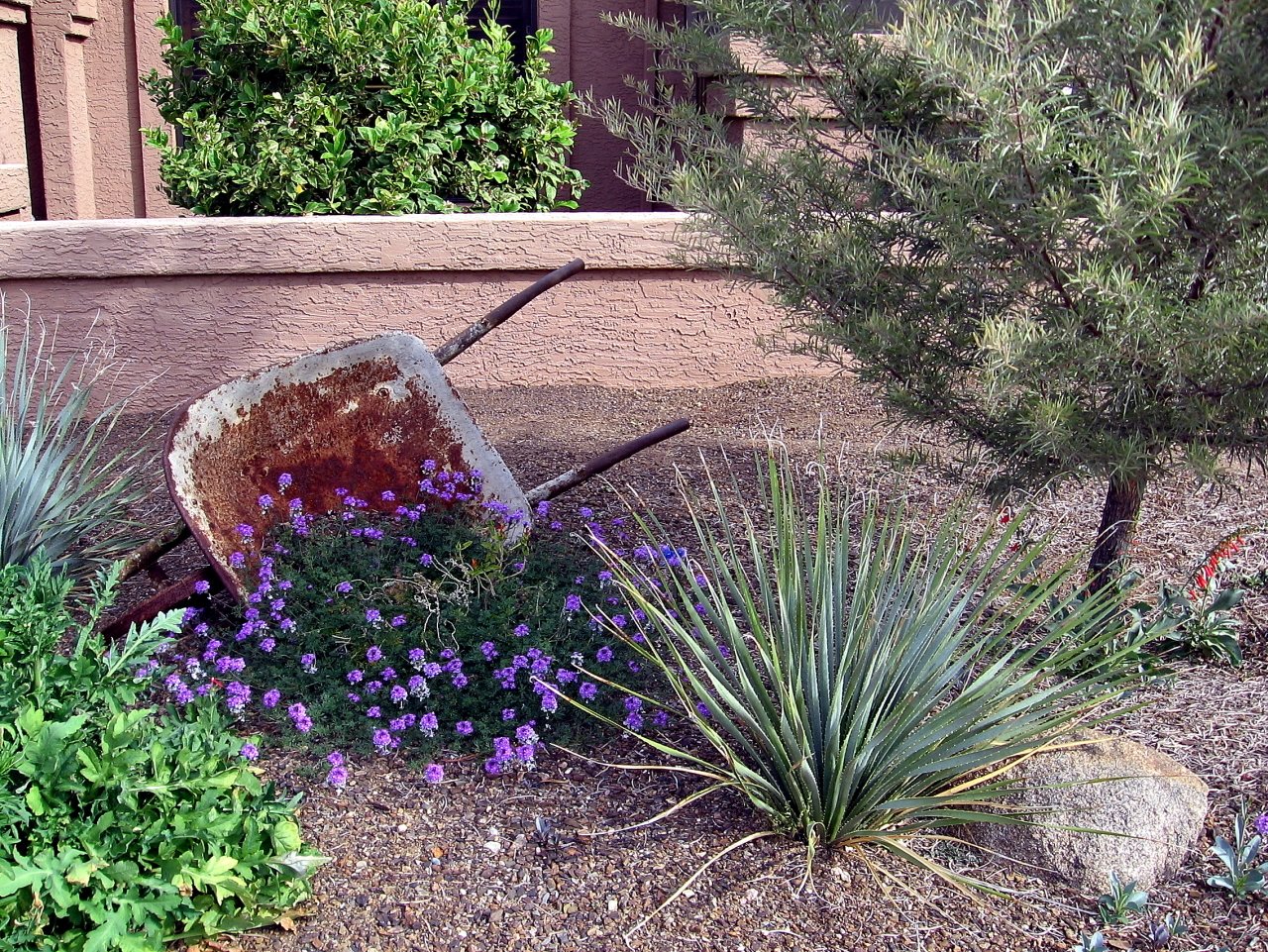 Landscaping Services in NM | Landmark Landscapes