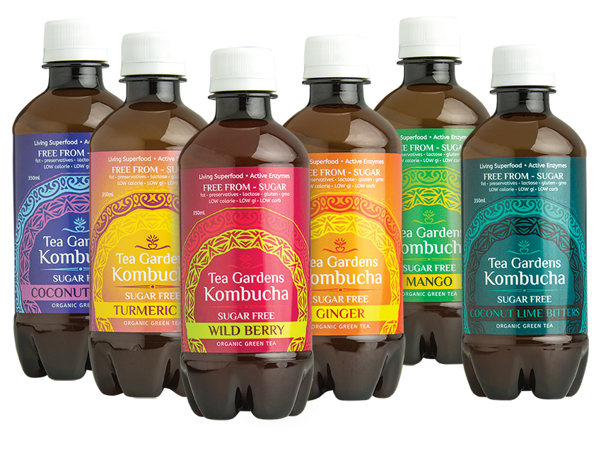 Kombucha - Sparkling prebiotic drink