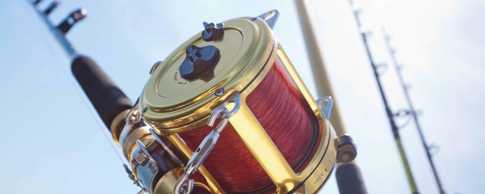 Snowys Bait and Tackle | Fish and Tackle | Suffolk